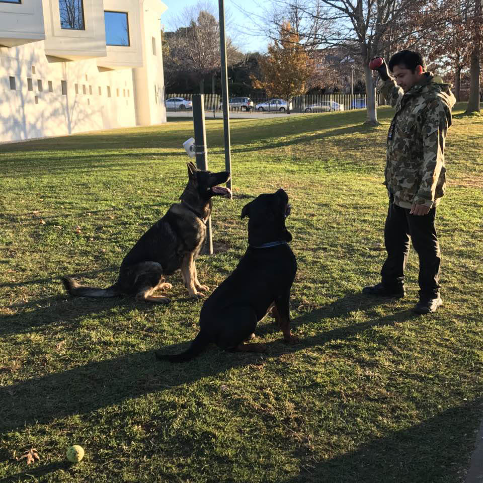 Armed Special Operations/K-9 Unit